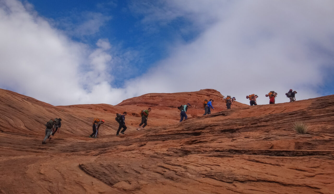 Private Equity - Viking Global