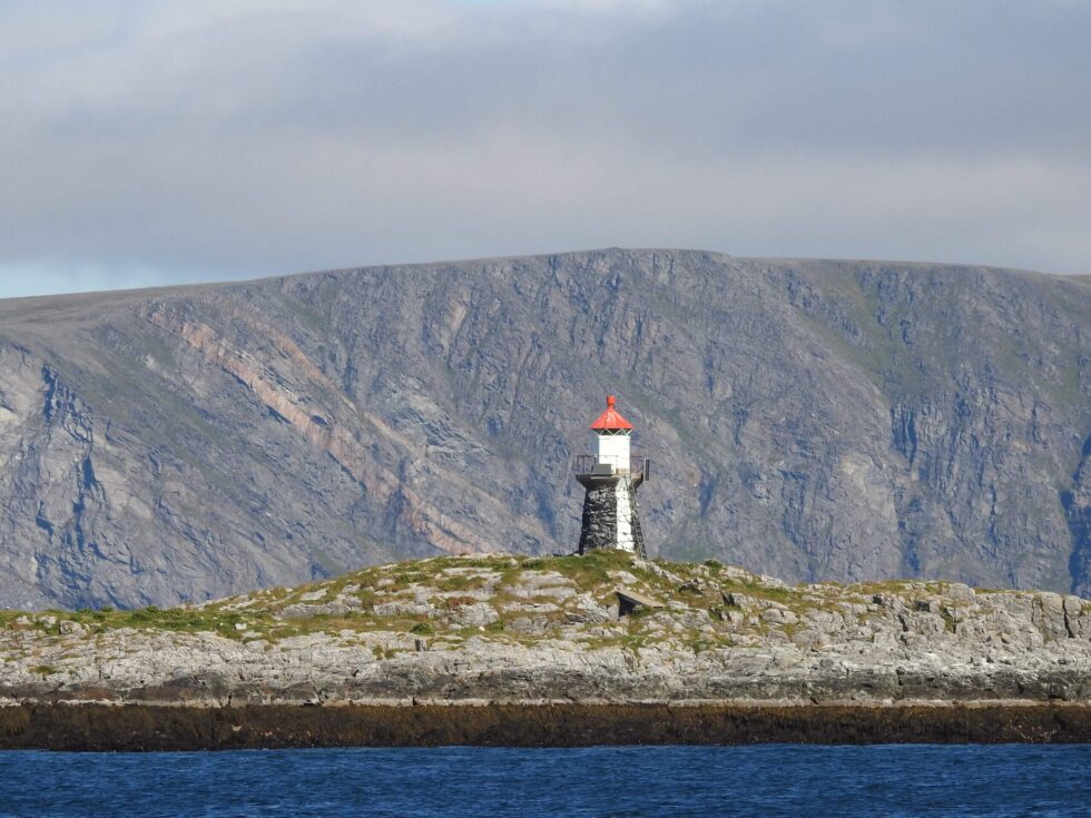 Investments - Viking Global