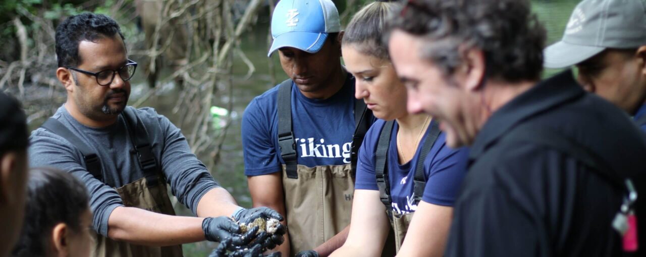 Viking Global Foundation - Viking Global