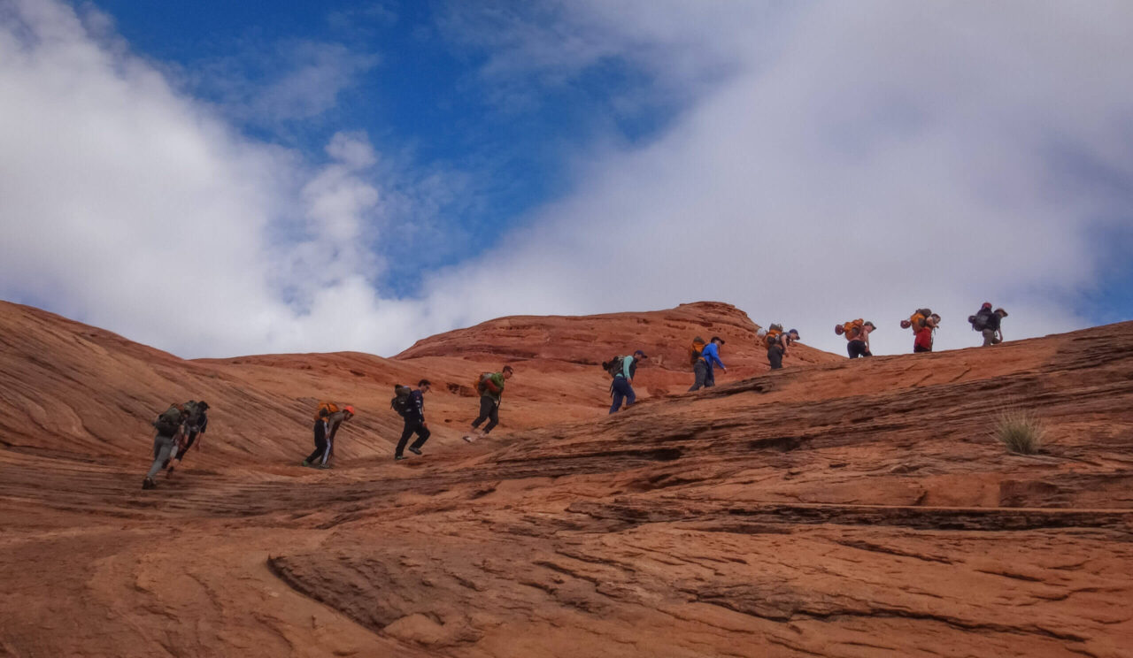 Private Equity - Viking Global