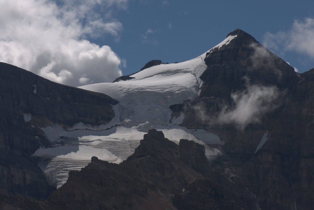 Investments - Viking Global